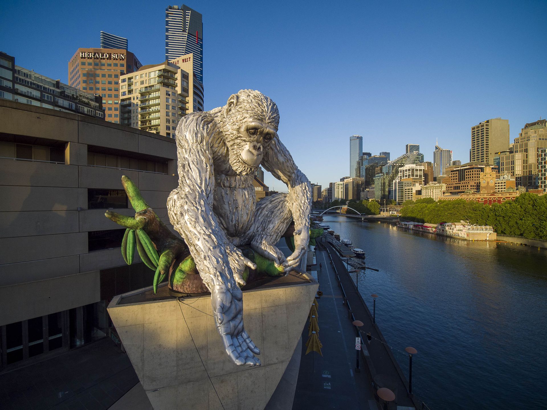 David Greybeard Global Tour | art-partners