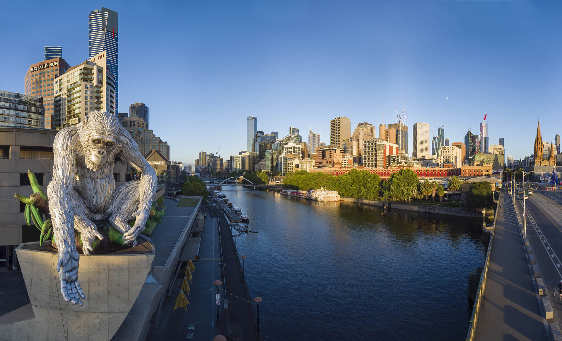 David Greybeard Global Tour | art-partners