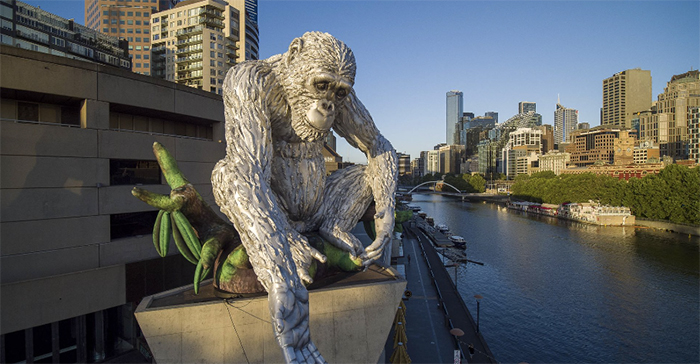 David Greybeard Global Tour | art-partners